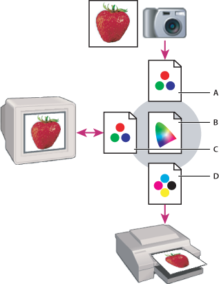 Configuration de la gestion des couleurs