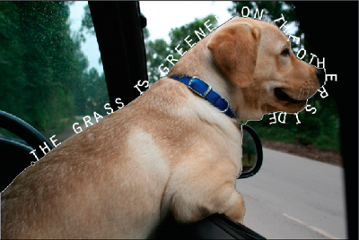 Add text to an image in Photoshop Elements