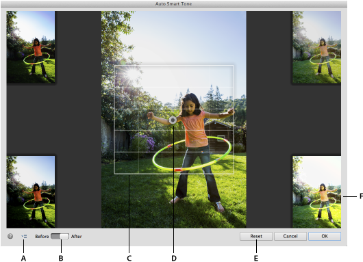 Auto Smart Tone in Photoshop Elements