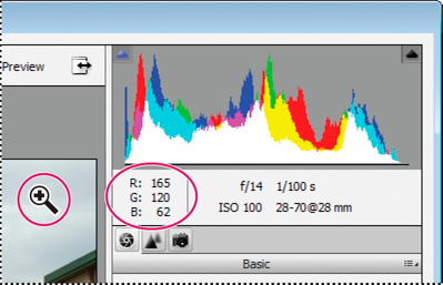 Color and camera raw