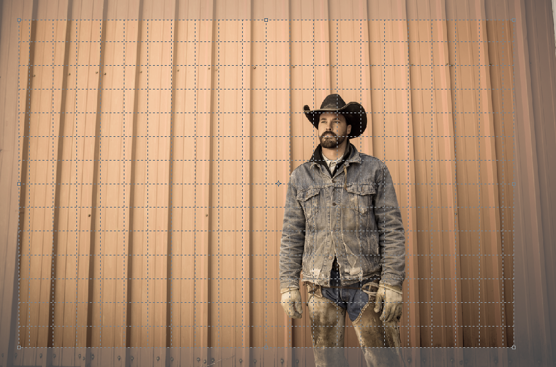 Crop images in Photoshop Elements