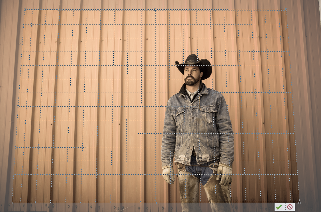 Crop images in Photoshop Elements