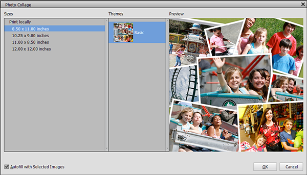 Photoshop Elements photo projects