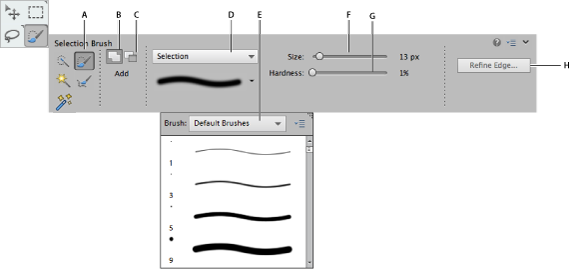 Make selections in Photoshop Elements
