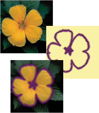 Modifying selections in Photoshop Elements