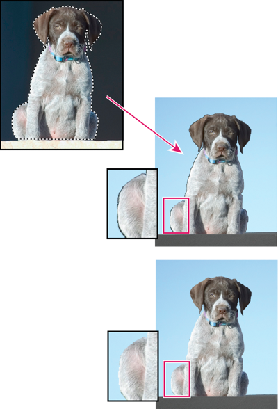 Modifying selections in Photoshop Elements