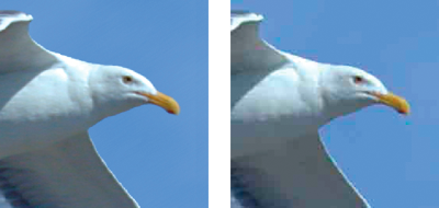 Optimizing images for the JPEG format