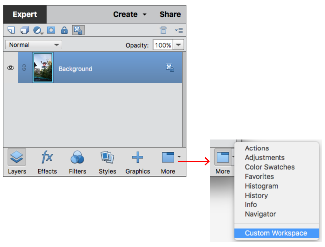 Panels and bins in Photoshop Elements