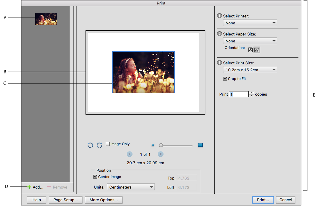 Print photos in Photoshop Elements