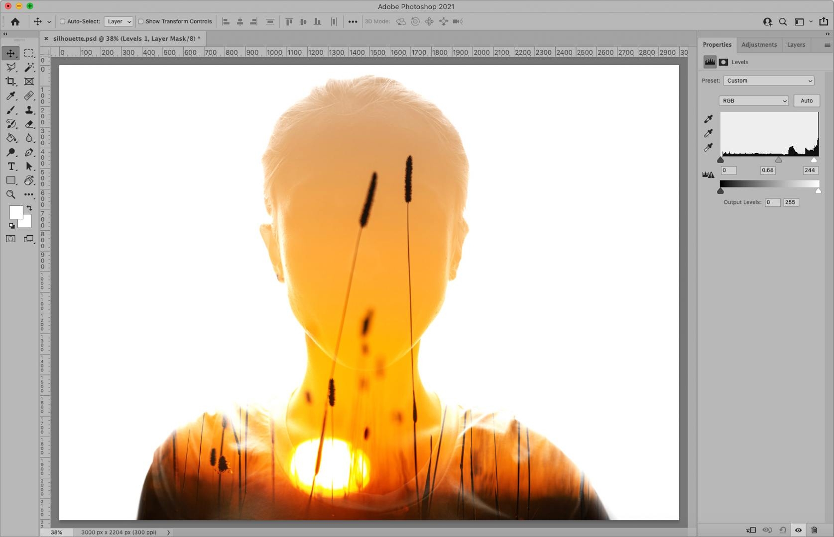 Make a simple yet sophisticated silhouette in Adobe Photoshop.
