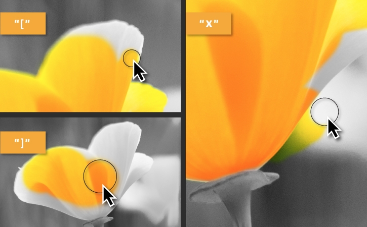 Combine black and white with color in a photo