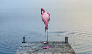 Essential creative effects for your photography