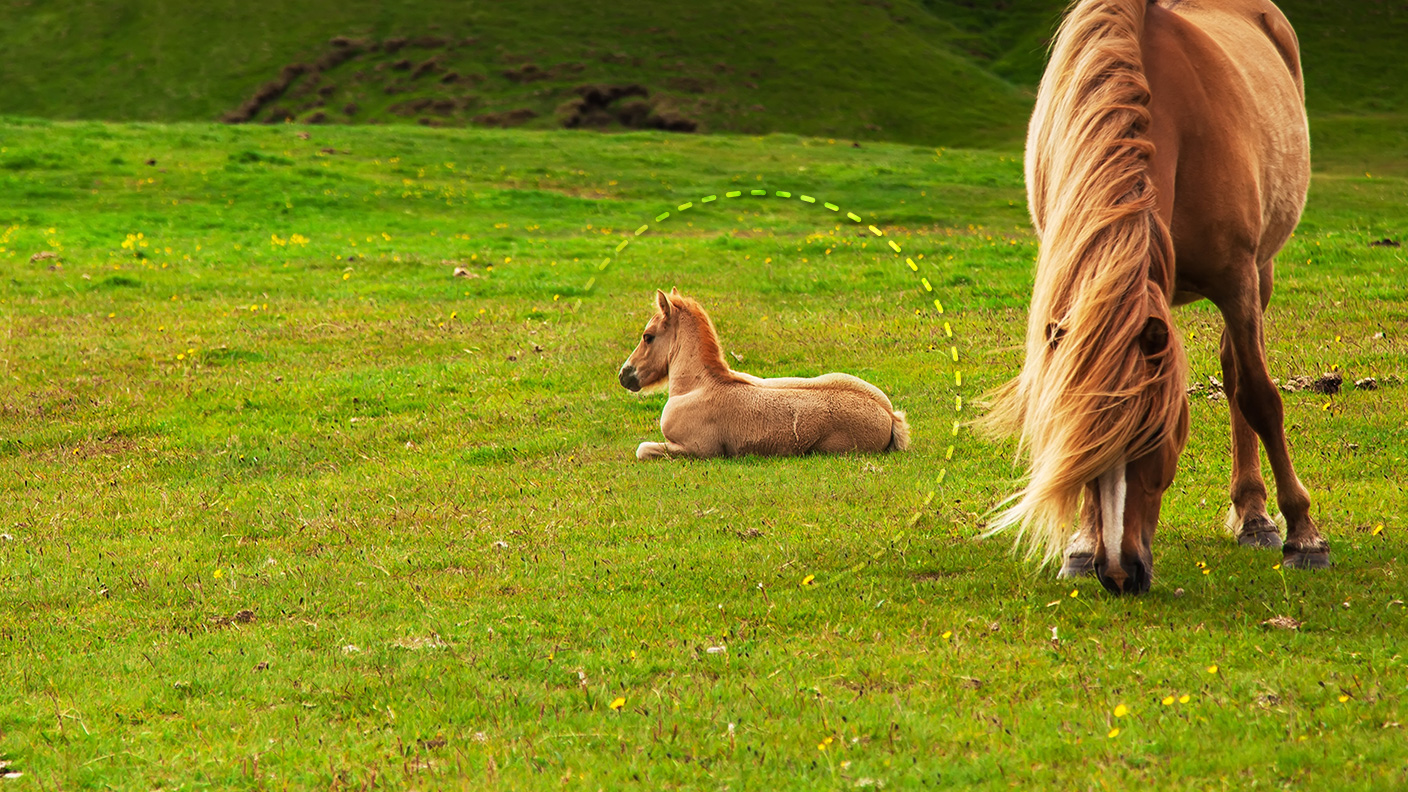 Adobe Learn - Formación Photoshop Start using Lightroom Classic with Photoshop