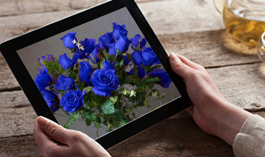 Selection and masking tips for Photoshop on iPad with Russell Brown ...