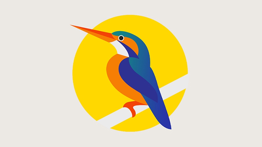 Add Vector Graphics To Your Designs