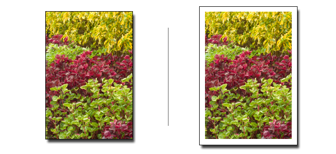 Photoshop Canvas