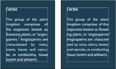 Format paragraphs in Photoshop