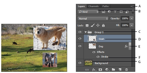 Kh m Ph 54 H nh nh how To Convert Layer To Background In Photoshop 