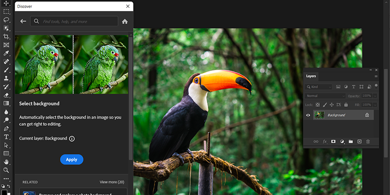 选择图像中的背景