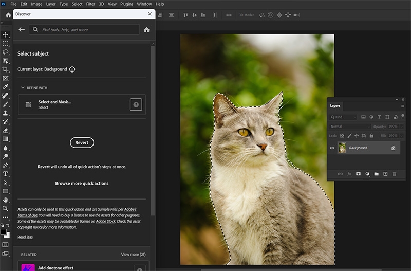 Select subject in your images