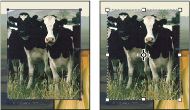 Select, group, and link layers in Photoshop