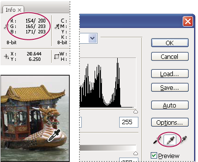 View histograms and pixel values in Photoshop