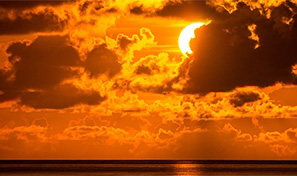 Working with Timeline panel