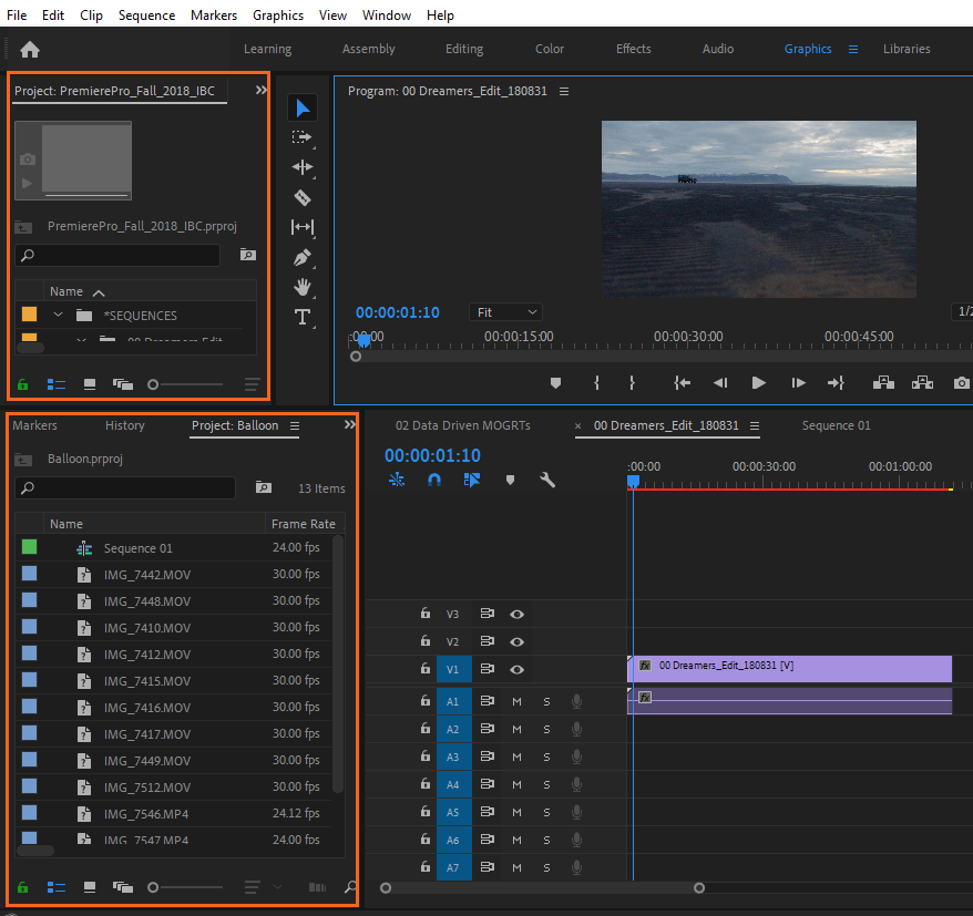 Working In The Project Panel