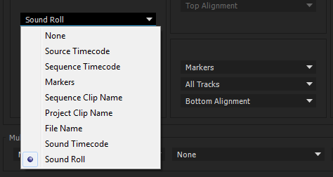 Monitor overlays in Premiere Pro