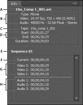 Working with Panels in Premiere Pro