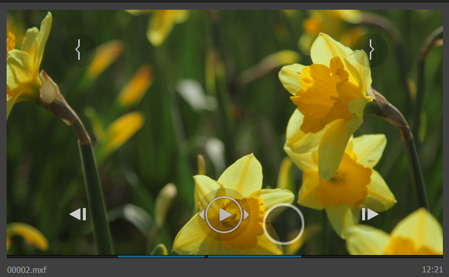 Windows touch and gesture controls