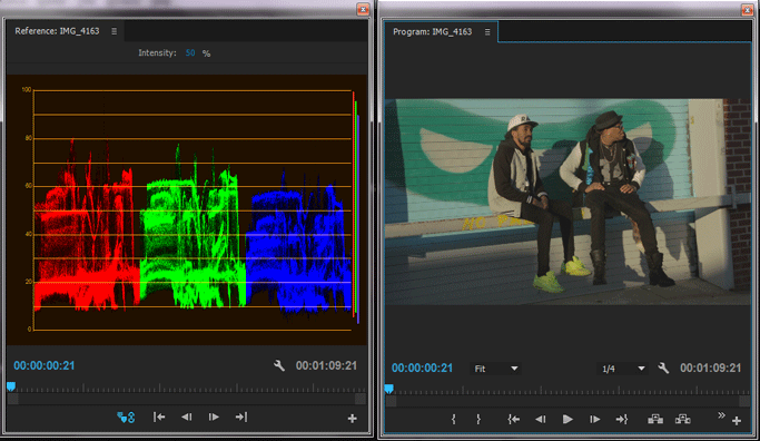 Using the Premiere Pro Reference Monitor