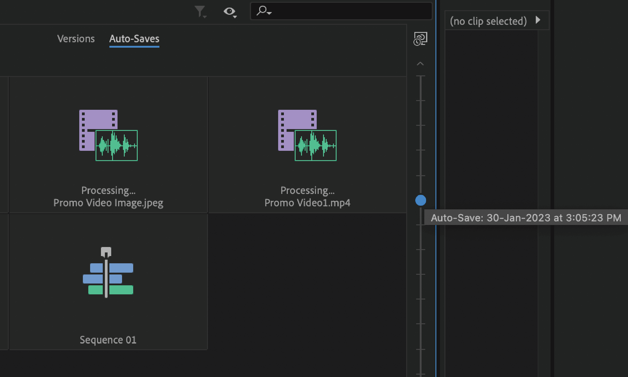 View auto saves and versions of Team Projects