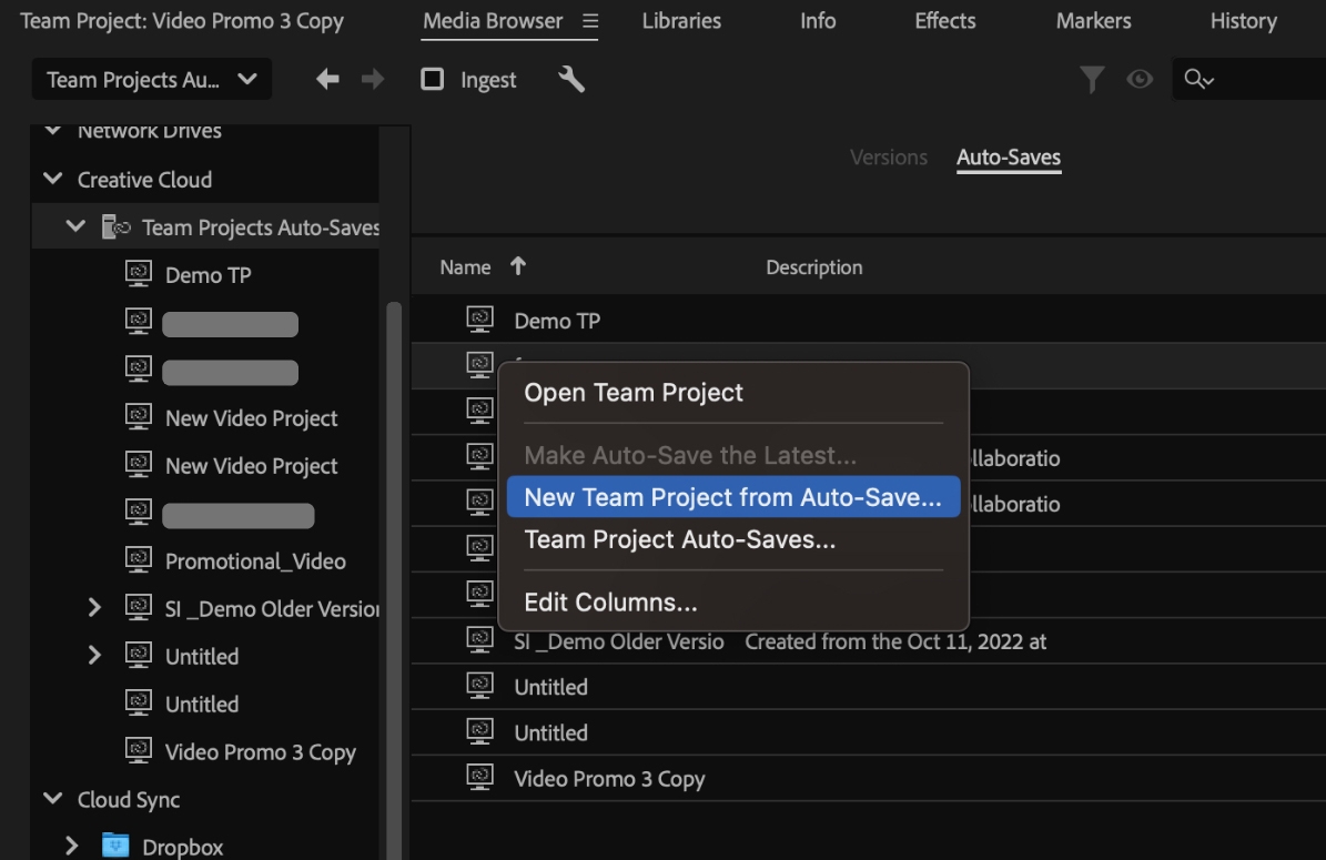 View auto saves and versions of Team Project