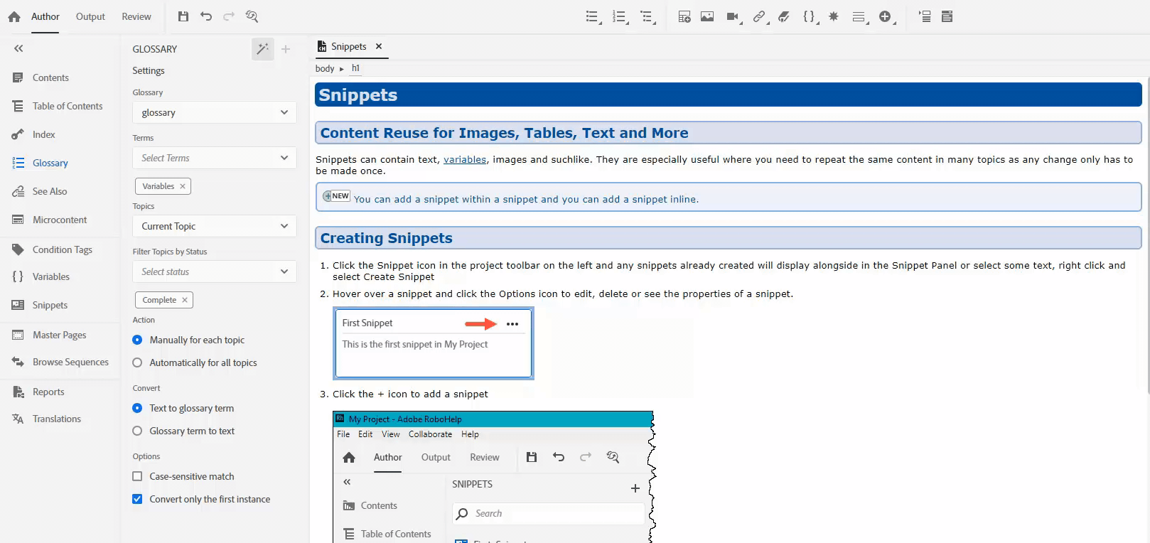 Create and manage a glossary in RoboHelp