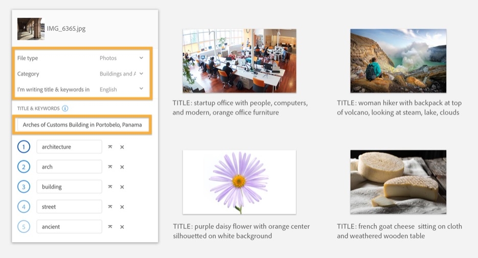 Optimize your content for search with effective keywords at Adobe Stock