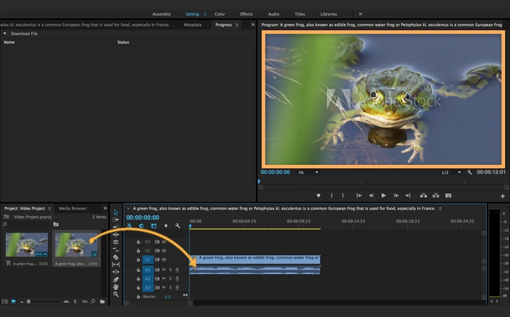 How to use Adobe Stock video footage