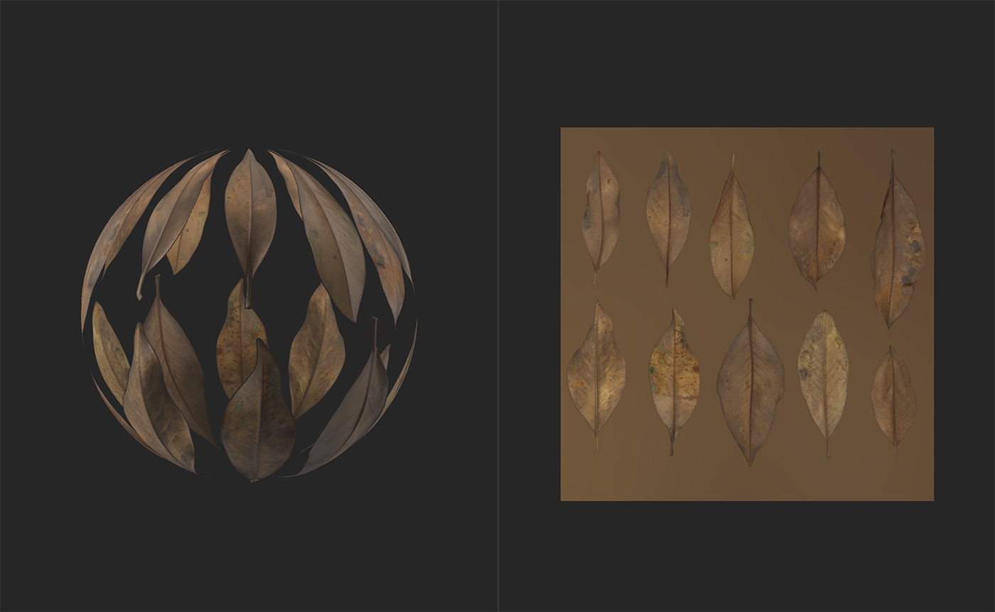 Crop tool | Substance 3D Sampler