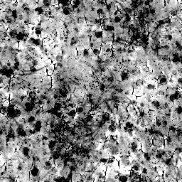 Grunge Map 010 | Substance 3D Designer