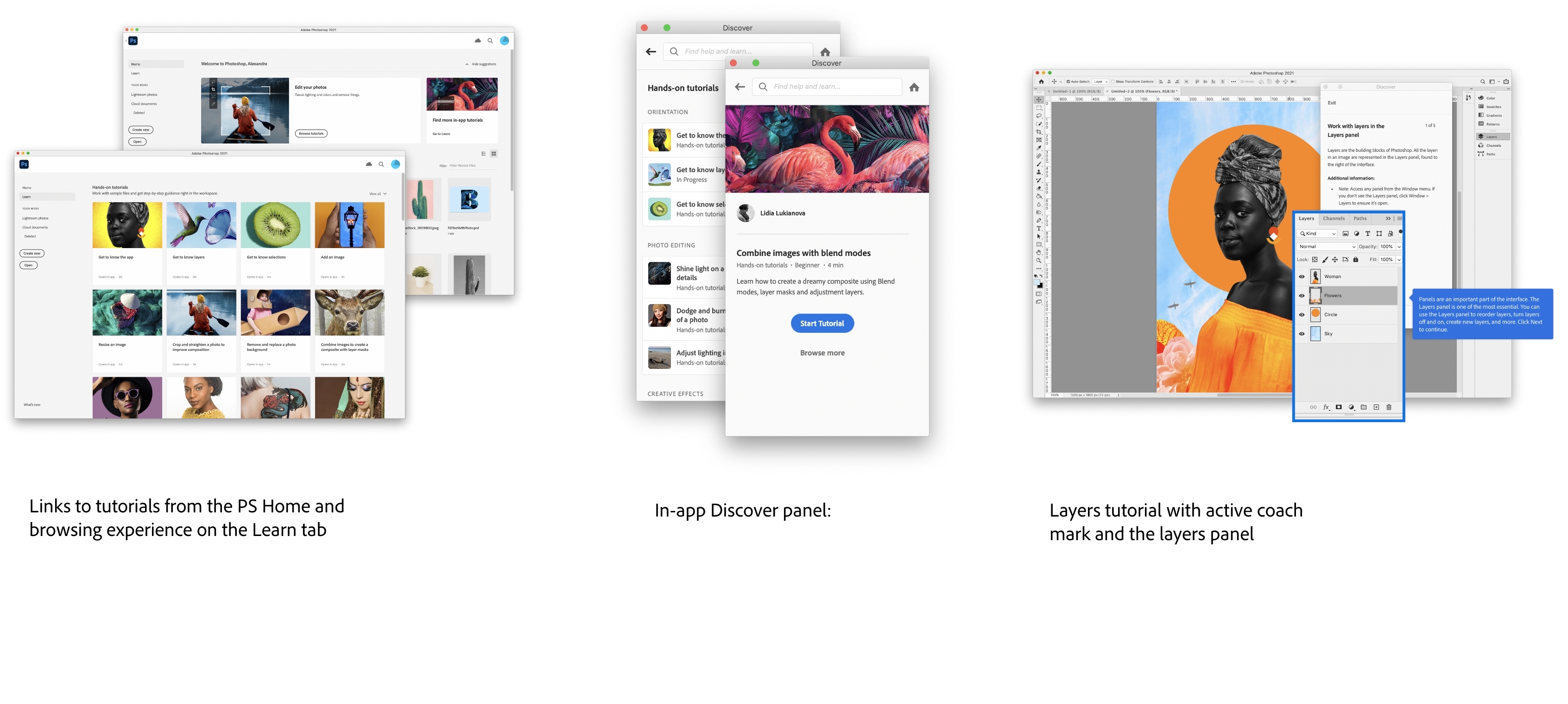 [Ps] Asset guidelines