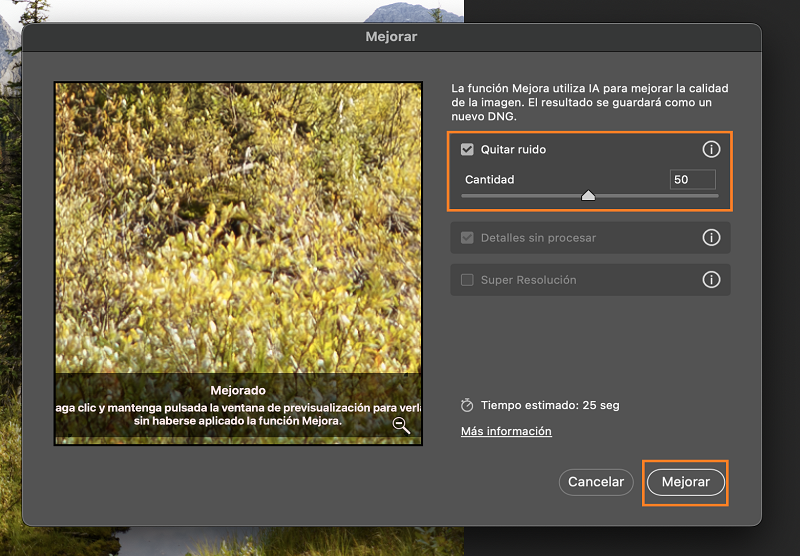 Uso de Detalles Raw y Super Resolución en Adobe Camera Raw