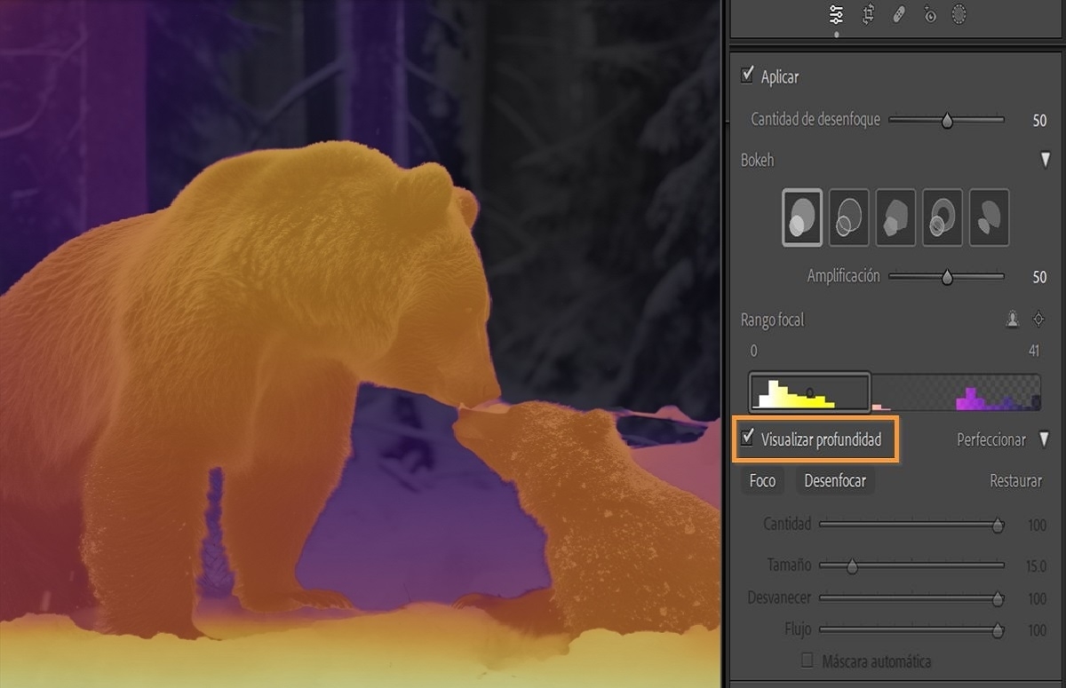 Desenfoque de lente en Lightroom Classic