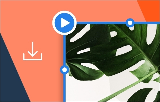Cómo usar los vídeos en XD