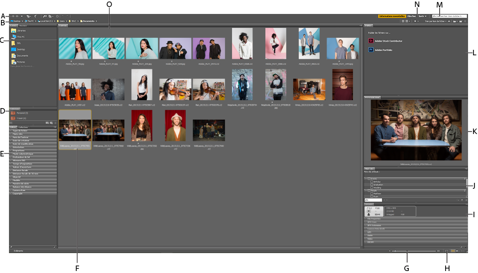 Utilisation des panneaux d’Adobe Bridge, gestion des espaces de travail ...