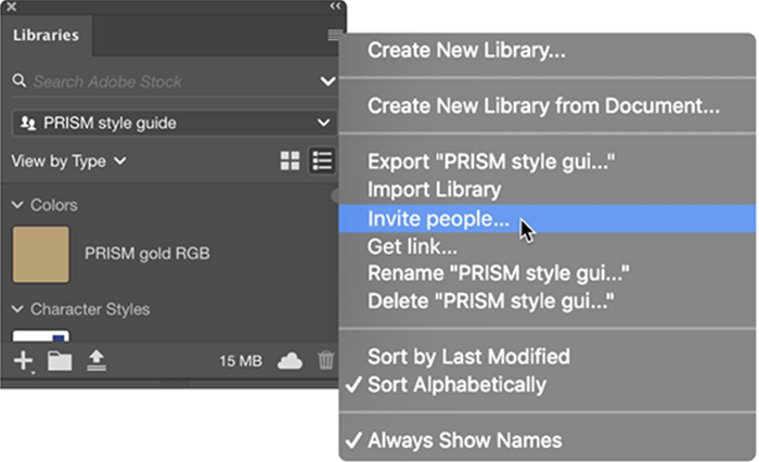 Bibliothèques Creative Cloud dans un espace de stockage professionnel