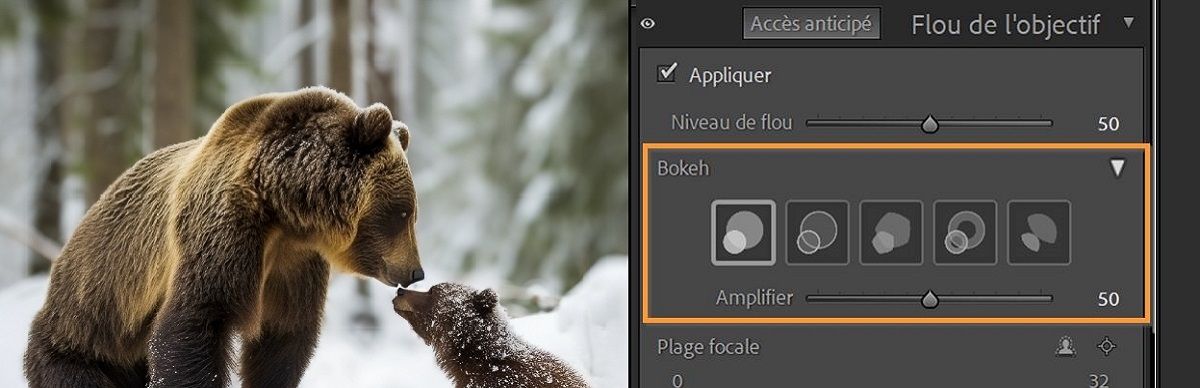 Flou de l’objectif dans Lightroom Classic