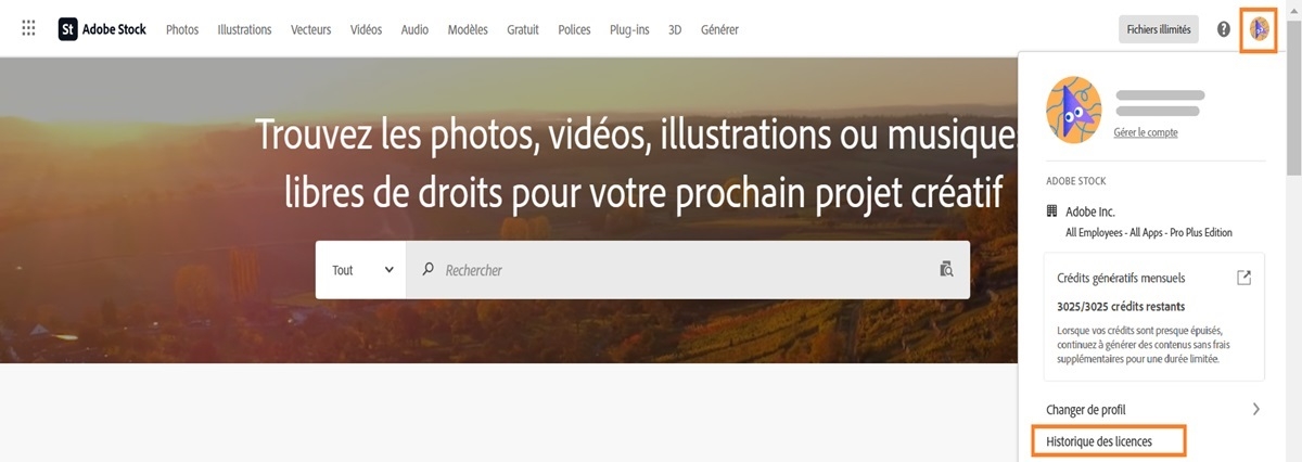 Intégration dans Adobe Stock