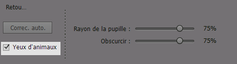 Retouche et correction des photos dans Photoshop Elements