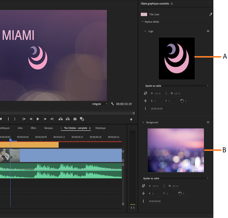 Créez plusieurs variantes d’un modèle d’animations graphiques.