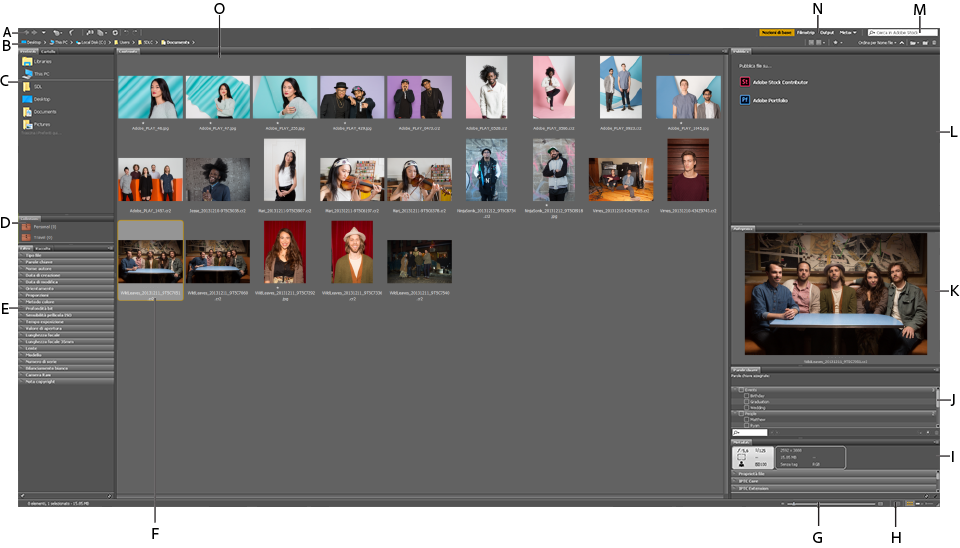 Come utilizzare i pannelli di Adobe Bridge, gestire le aree di lavoro ...